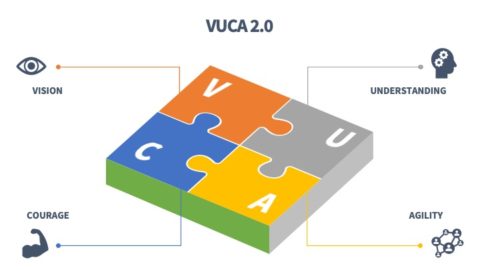 Business leaders in a VUCA environment - Seed