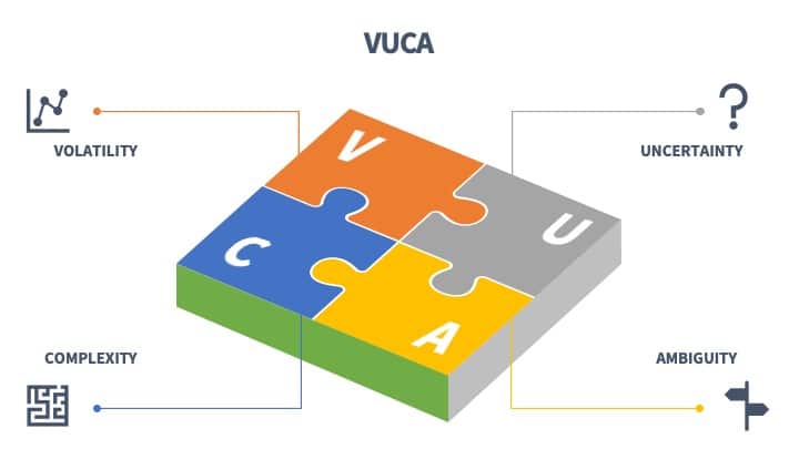 Business leaders in a VUCA environment - Seed
